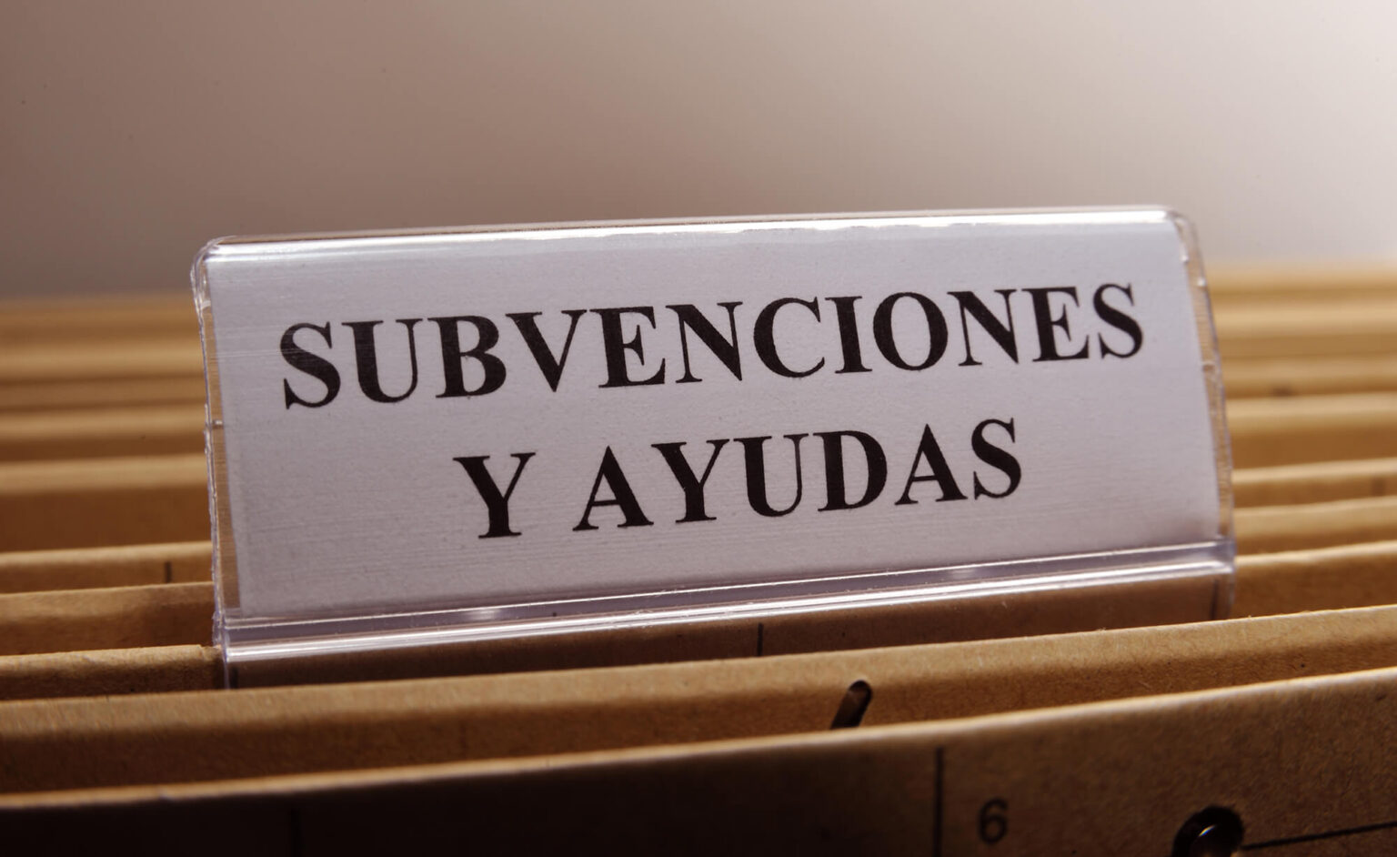 Subvenciones y ayudas - Martínez Tercero Asesores